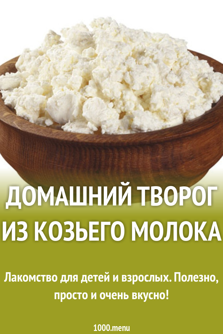 Домашний творог из козьего молока рецепт с фото - 1000.menu