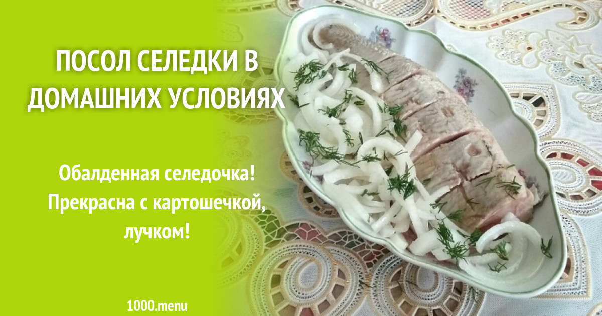 Посол селедки в домашних условиях рецепт с фото пошагово - 1000.menu